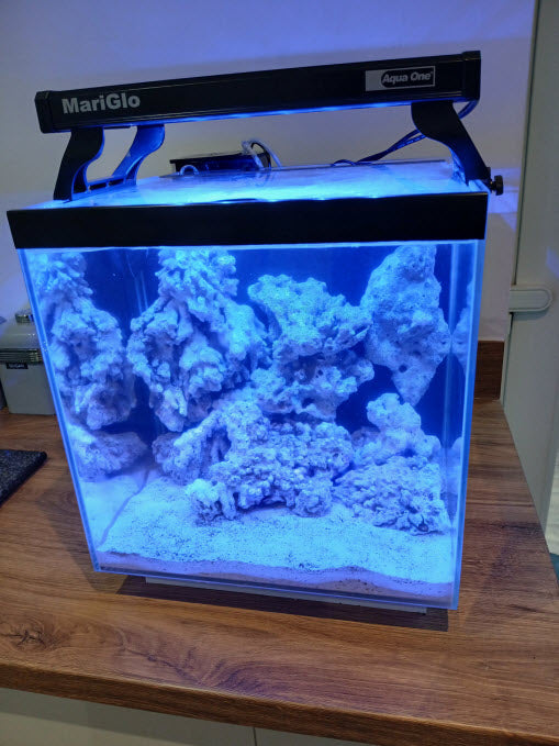 my Aqua one 35 litre nano – reefloat